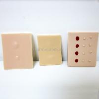 China Professional Clinical Training Kit for Medical Science Multi-functional Minor Surgery for sale