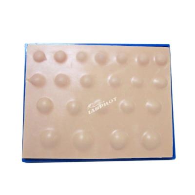 China Advanced PVC Incision Model for Teaching Abscess Incision and Drainage Skills in 2023 for sale