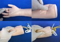 China IV Infusion Training Model Soft Skin Hand and Elbow Intravenous Transfusion Training Arm for sale