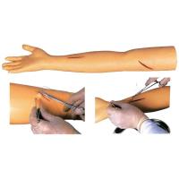 China Manikin for Advanced Suture Practice Surgical Suturing Training Arm Model for sale