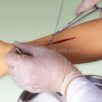 China Manikin for Advanced Suture Practice Surgical Suturing Training Arm Model for sale