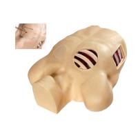 China Advanced PVC Pneumothorax Decompression Manikin for Artificial Hydrothorax Simulation for sale