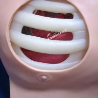 China Advanced PVC Pneumothorax Decompression Manikin for Artificial Hydrothorax Simulation for sale