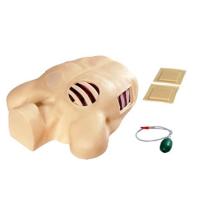China Advanced PVC Pneumothorax Decompression Manikin for Artificial Hydrothorax Simulation for sale