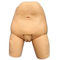 China Postpartum Manikin Nursing Simulator for Medical Science Fundus of Uterus Examination for sale