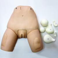 China Postpartum Manikin Nursing Simulator for Medical Science Fundus of Uterus Examination for sale