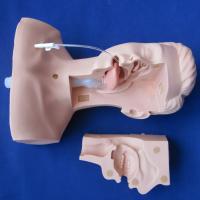 China Nursing Training Manikin Advanced Suction Simulator for Effective Sputum Aspiration for sale