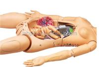 China Maternal Care and Neonatal Delivery Emergency Simulator for Patients Care demonstration for sale