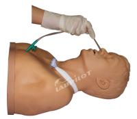 China 2023 Adult Tracheotomy Care and Suction Nursing Manikin Hospitals' Top Training Tool for sale