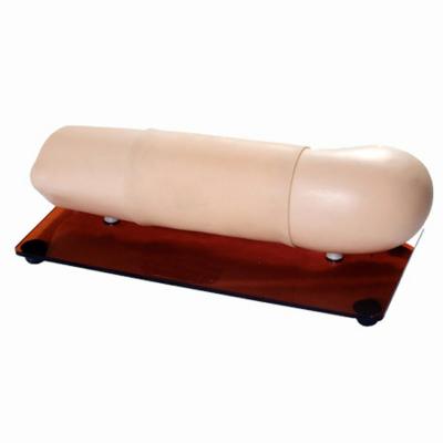 China Advanced Nursing Training Function Subcutaneous Embedded Contraceptive Training Arm Model for sale