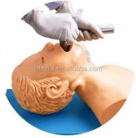 China Emergency Skills Teaching Item Intubation Training Simulator with Electronic Monitor for sale