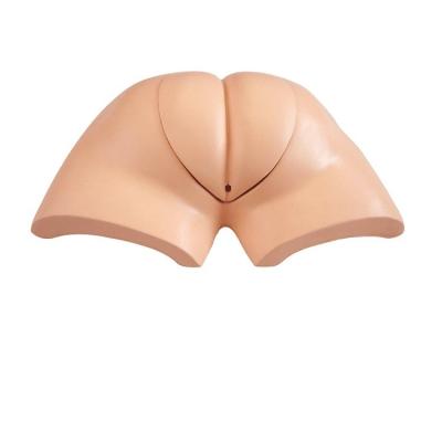 China Wearable Artificial Defecation Simulator for Comprehensive Nursing Skills Training for sale