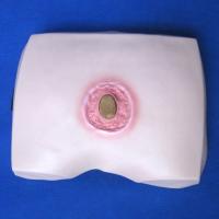 China Clinical Nursing Training Models Stages of Decubitus Ulcer Nursing Care for Hospitals for sale