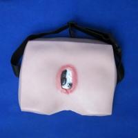 China Clinical Nursing Training Models Stages of Decubitus Ulcer Nursing Care for Hospitals for sale