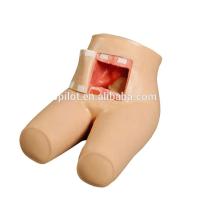 China Assisted Defecation and Enema Care Training Model Ideal for Medical Science Education for sale