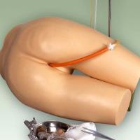 China Assisted Defecation and Enema Care Training Model Ideal for Medical Science Education for sale
