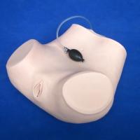 China Human Life Size Pelvic and Vagina Examination Manikin for Patients Care Demonstration for sale