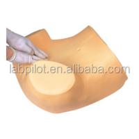 China Human Life Size Pelvic and Vagina Examination Manikin for Patients Care Demonstration for sale