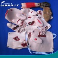 China Upgrade Your Wound First Aid Training Care with Advanced PVC Trauma Simulation Kit for sale