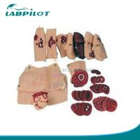 China Upgrade Your Wound First Aid Training Care with Advanced PVC Trauma Simulation Kit for sale