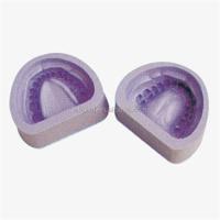 China Medical Educational Models Standard Teeth Mold with Dentition Model in Clinics for sale