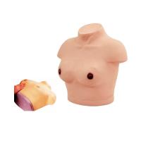 China Vivid Female Torso Manikin with Breast Examination and Palpation Demonstration Model for sale