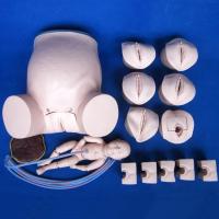 China Patients Care demonstration Comprehensive Childbirth Skill Training Model Obstetric Technical Training Manikin for sale