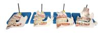 China Function Demonstrate Lower Molar Teeth Detailed Anatomy Structures for Dental Research for sale