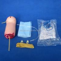 China Advanced PVC Upper Limb Trauma Haemorrhage and Amputated Arm Model for Medical Science for sale