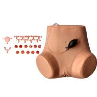 China Manikin for Multi-functional Gynecologist Nursing Training Vaginal Examination Model for sale