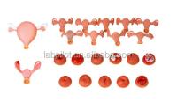 China Manikin for Multi-functional Gynecologist Nursing Training Vaginal Examination Model for sale