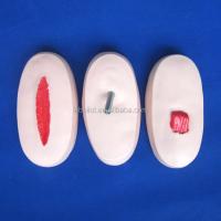 China Advanced PVC Trauma Models for Wound Nursing Training and Patients Care Demonstration for sale