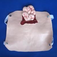 China Advanced PVC Trauma Models for Wound Nursing Training and Patients Care Demonstration for sale