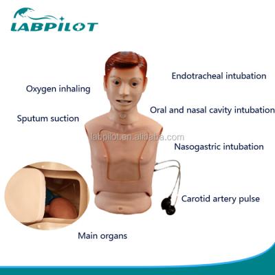 China Half-body Nursing Manikin for Nasogastric Feeding and Trachea Intubation Training Aid for sale