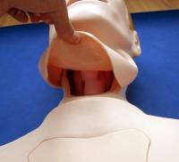 China Half-body Nursing Manikin for Nasogastric Feeding and Trachea Intubation Training Aid for sale