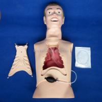 China Half-body Nursing Manikin for Nasogastric Feeding and Trachea Intubation Training Aid for sale