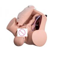 China Comprehensive Childbirth Skills Training Mannequin for School of Nursing and Midwifery for sale