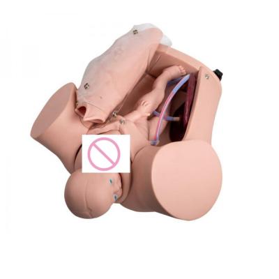 China Comprehensive Childbirth Skills Training Mannequin for School of Nursing and Midwifery for sale