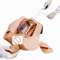 China Comprehensive Childbirth Skills Training Mannequin for School of Nursing and Midwifery for sale