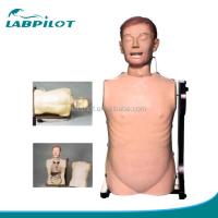 China Human Life Size Nasal Feeding Mannequin for Airway Care and Gastrointestinal Practice for sale