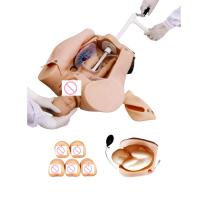 China Comprehensive Childbirth Skills Training Mannequin for School of Nursing and Midwifery for sale