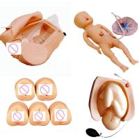 China Comprehensive Childbirth Skills Training Mannequin for School of Nursing and Midwifery for sale