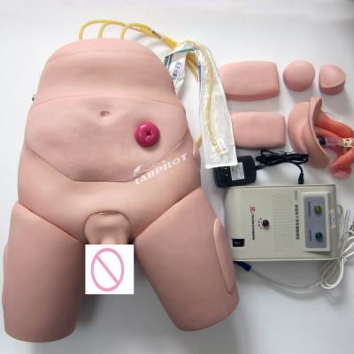 China Electronic Monitor Urethral Catheterization Training Simulator for Nursing Skills for sale