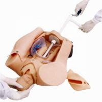 China Childbirth Demonstration Simulator for Medical Science Training and Skill Development for sale