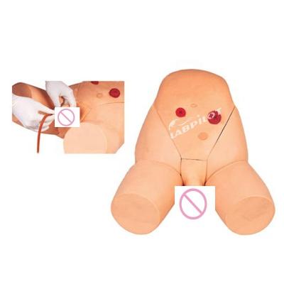 China Medical Science Male and Female Catheterization Simulator for Training Practice Model for sale