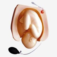China Childbirth Demonstration Simulator for Medical Science Training and Skill Development for sale