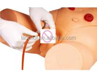China Medical Science Male and Female Catheterization Simulator for Training Practice Model for sale