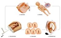 China Childbirth Demonstration Simulator for Medical Science Training and Skill Development for sale