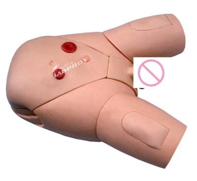China Male Catheterization Nursing Training Model for Medical Students Skill Development for sale
