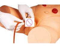 China Male Catheterization Nursing Training Model for Medical Students Skill Development for sale